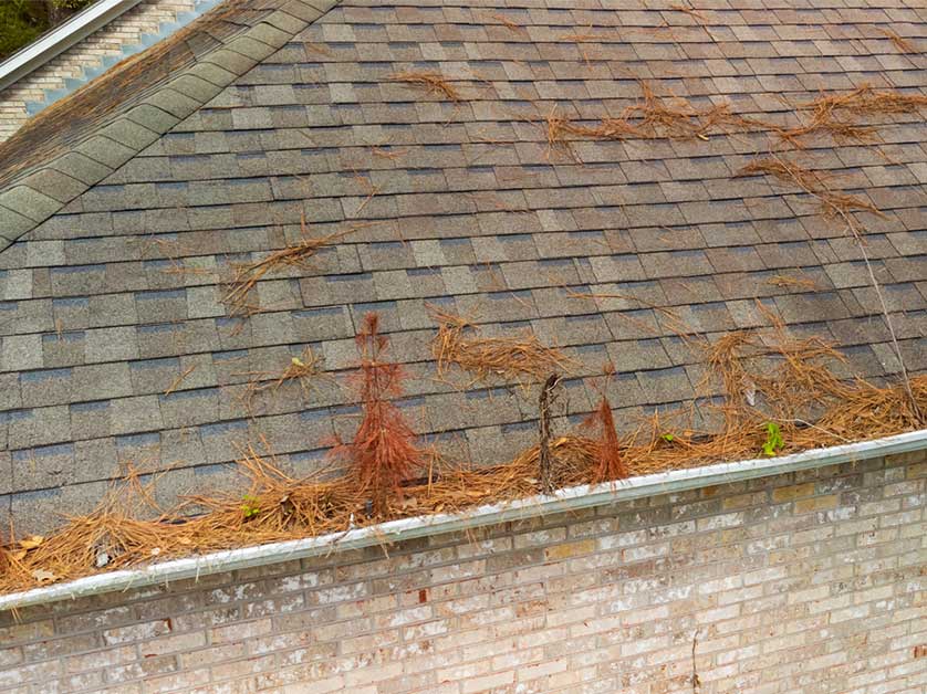 The Most Damaging Debris for Roofs